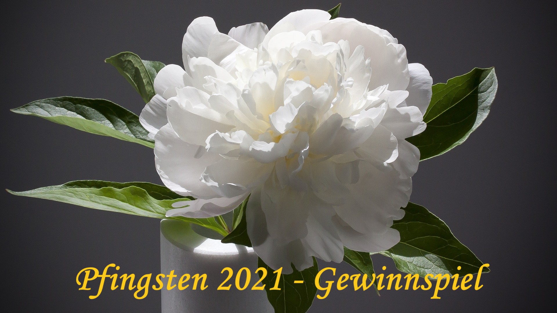 Gewinnspiel Pfingsten 2021 - ☆ OwangO DE ☆ ist das neue digitale Online ...